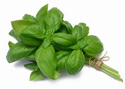 Basil, 6 oz clamshell – FARM BOUND