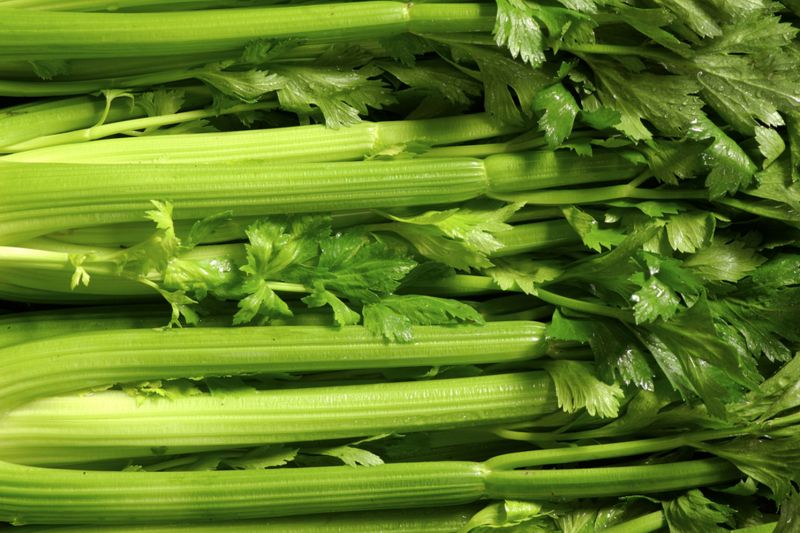 Celery, CASE 24 Count, Organic – FARM BOUND