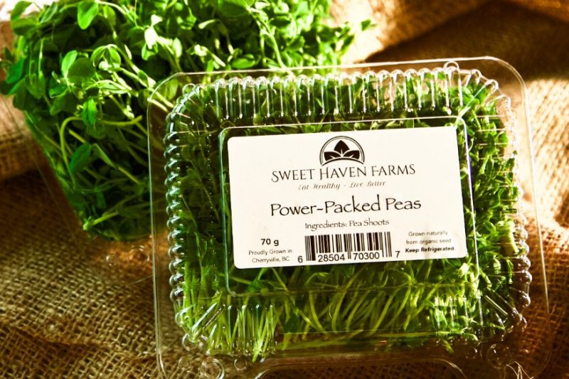Microgreens, Power packed Pea Shoots, – FARM BOUND