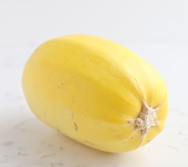 Squash, Spaghetti 2-3lbs, Organic – FARM BOUND
